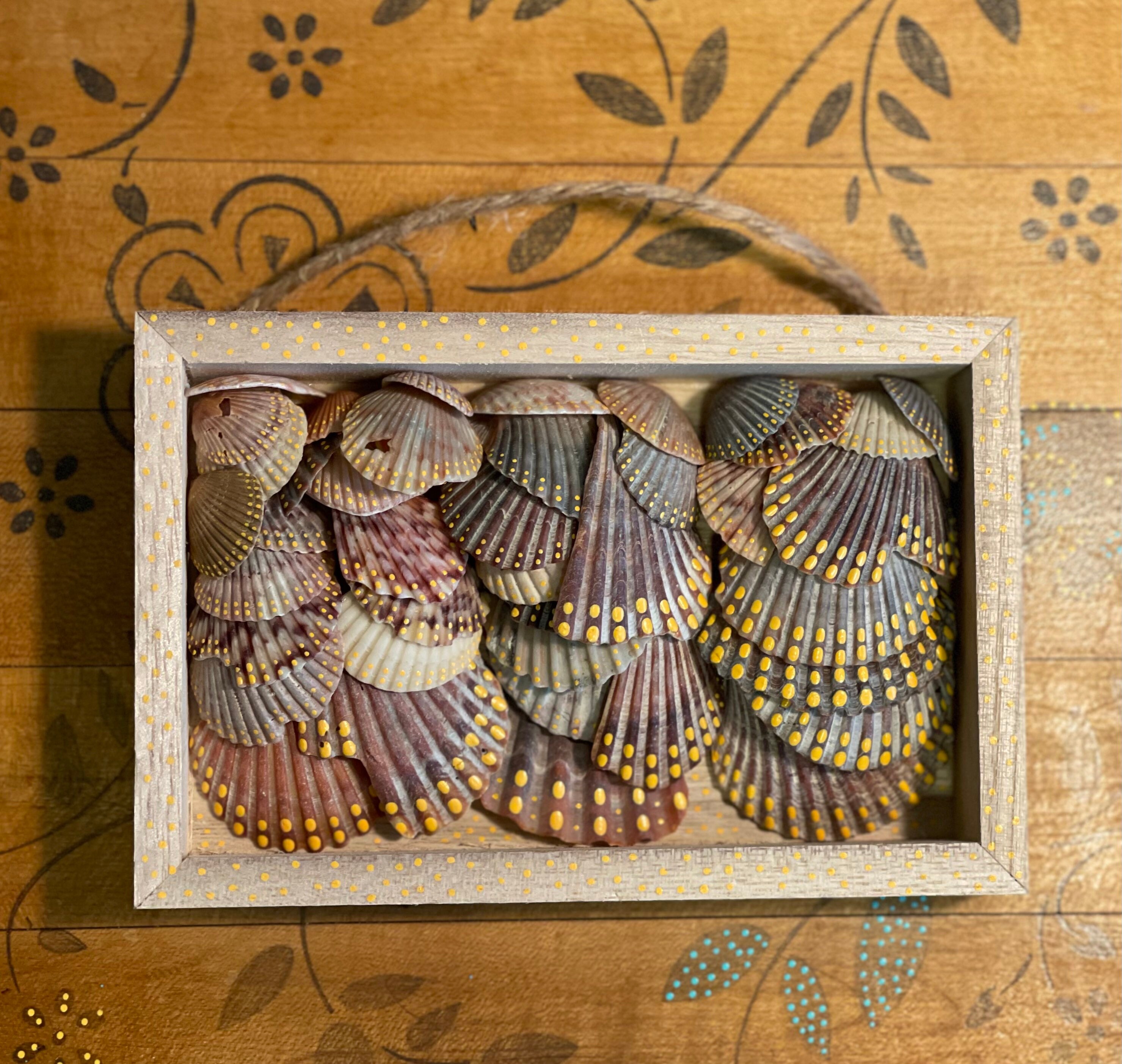 Salt Life Seashell Shadow Box Natural Seashell Home Decor - Etsy
