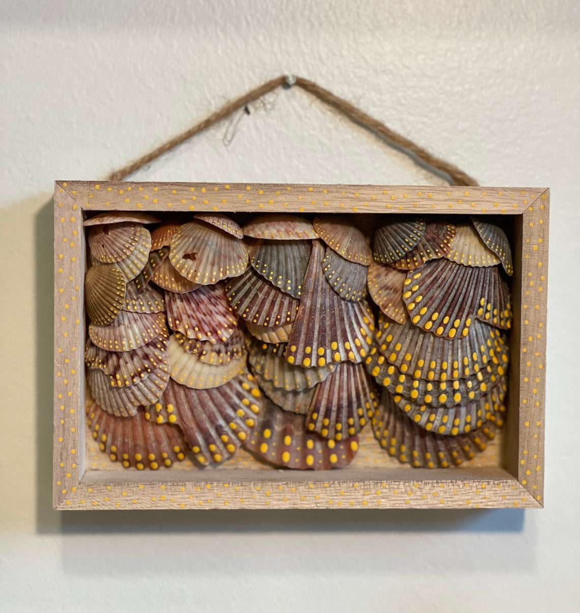 Salt Life Seashell Shadow Box Natural Seashell Home Decor - Etsy