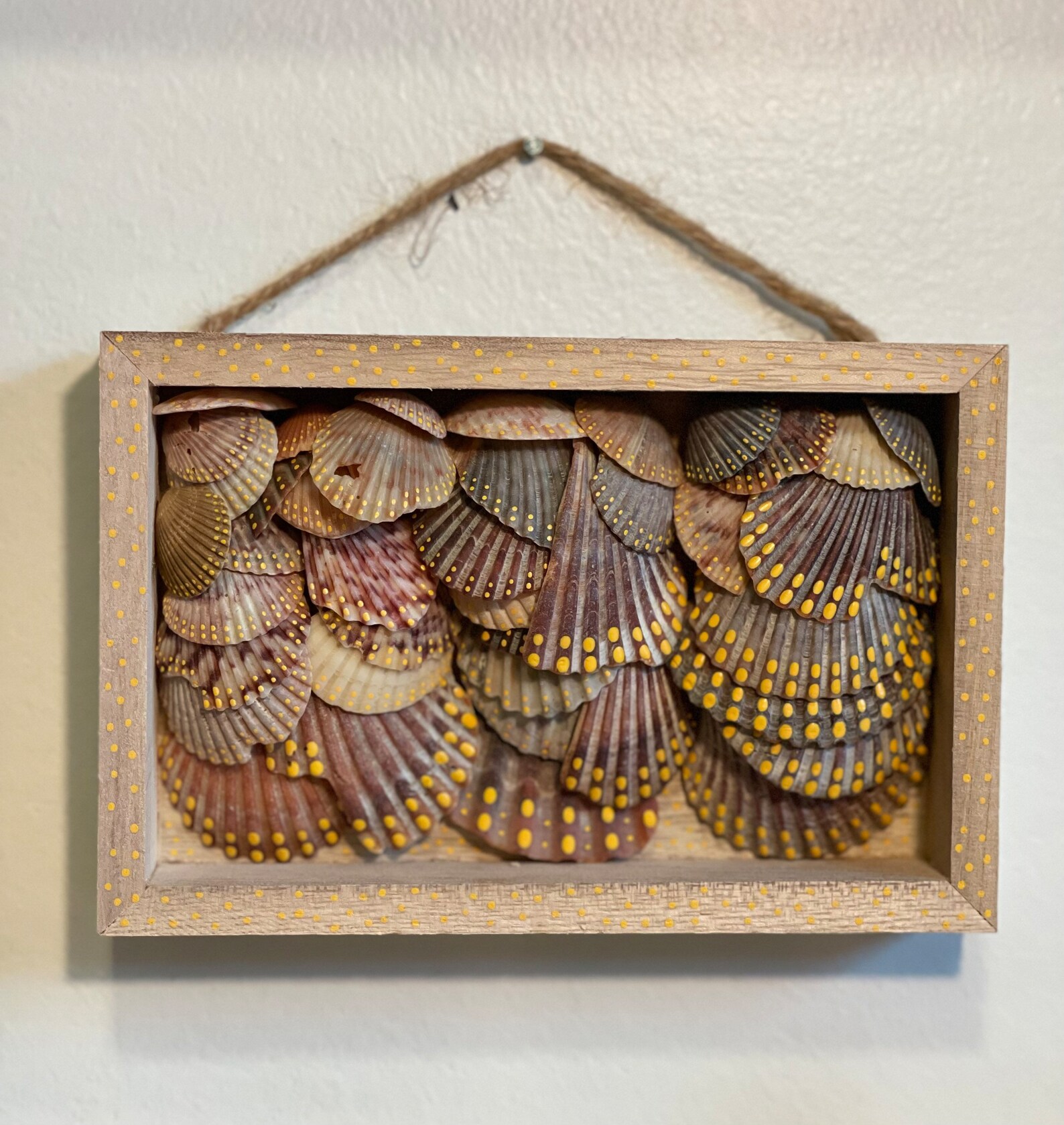 Salt Life Seashell Shadow Box Natural Seashell Home Decor - Etsy