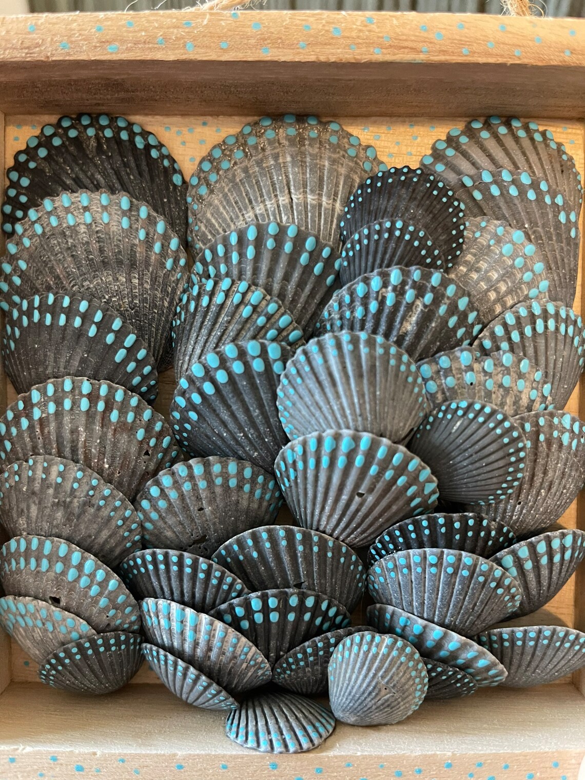 Multiple Seashell Shadow Box Natural Seashell Home Decor Handmade ...