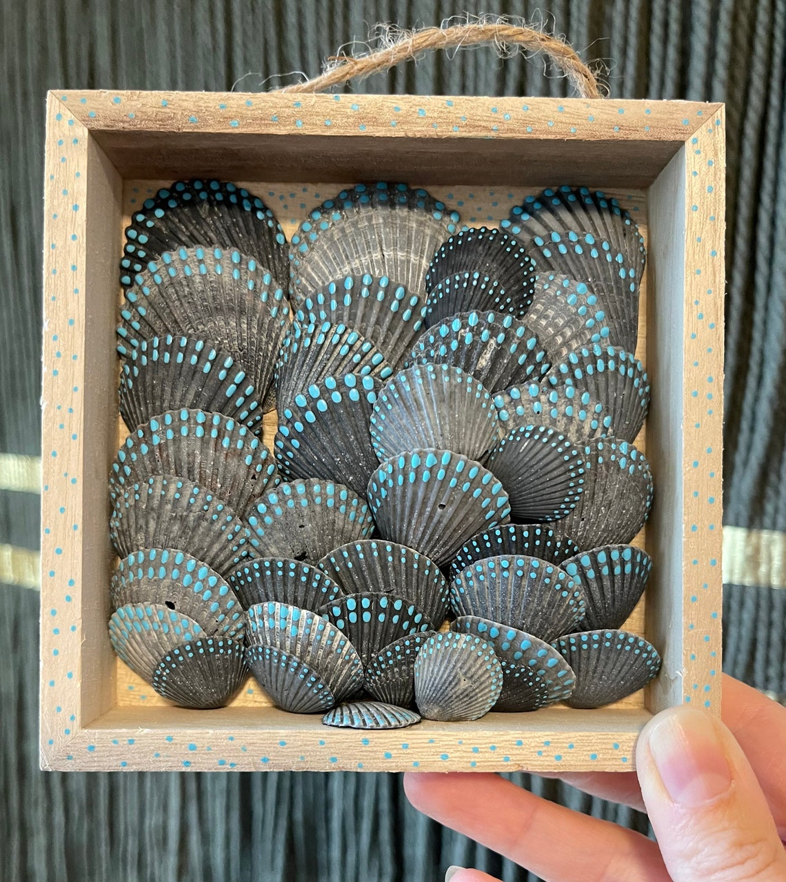 Multiple Seashell Shadow Box Natural Seashell Home Decor Handmade ...