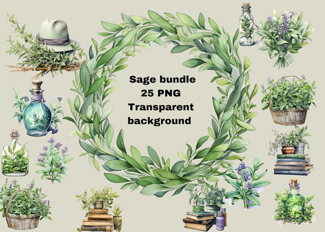 Sage Watercolor Bundle With Transparent Background, 25 PNG Sage Images ...