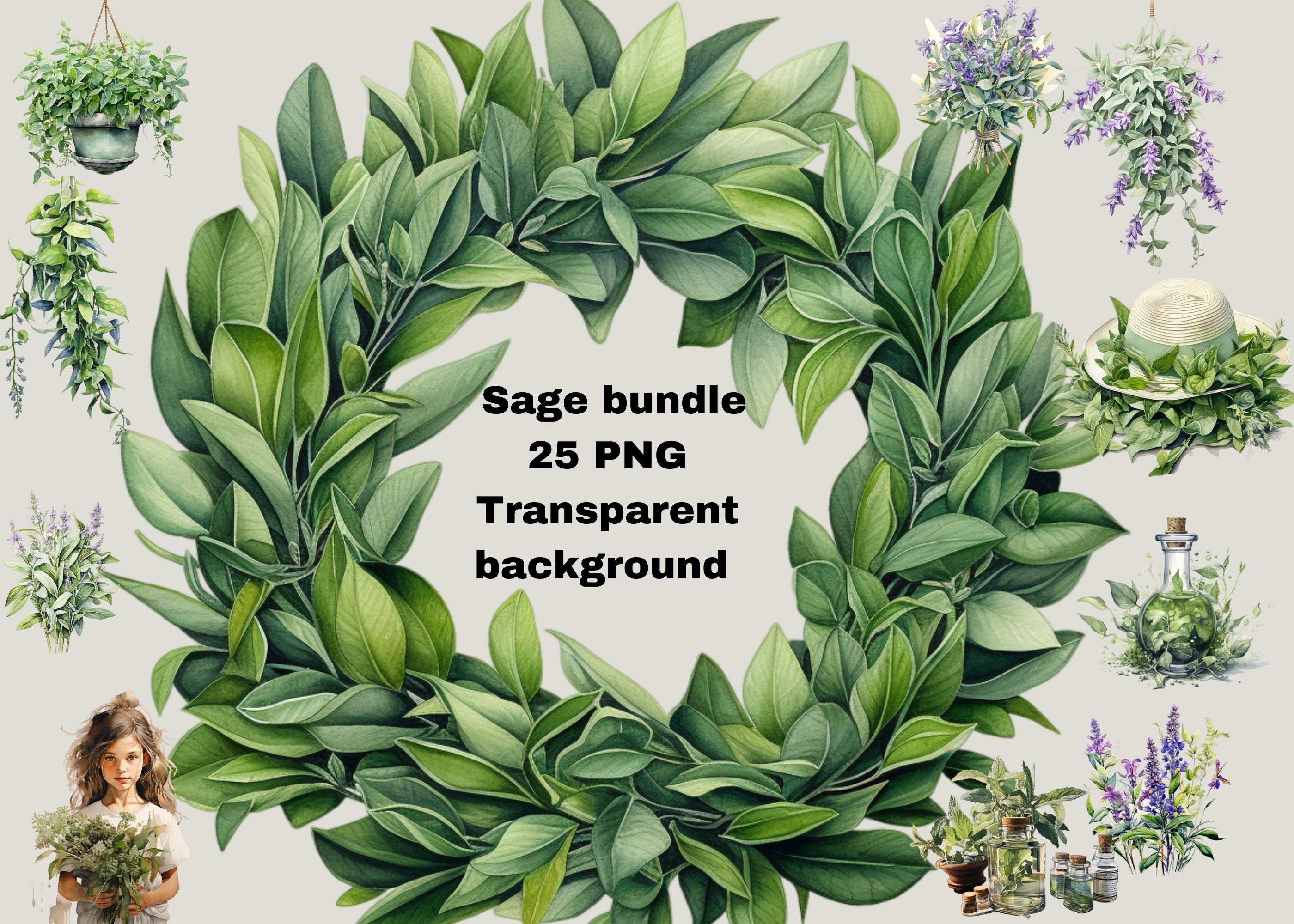 Sage Watercolor Bundle With Transparent Background, 25 PNG Sage Images ...