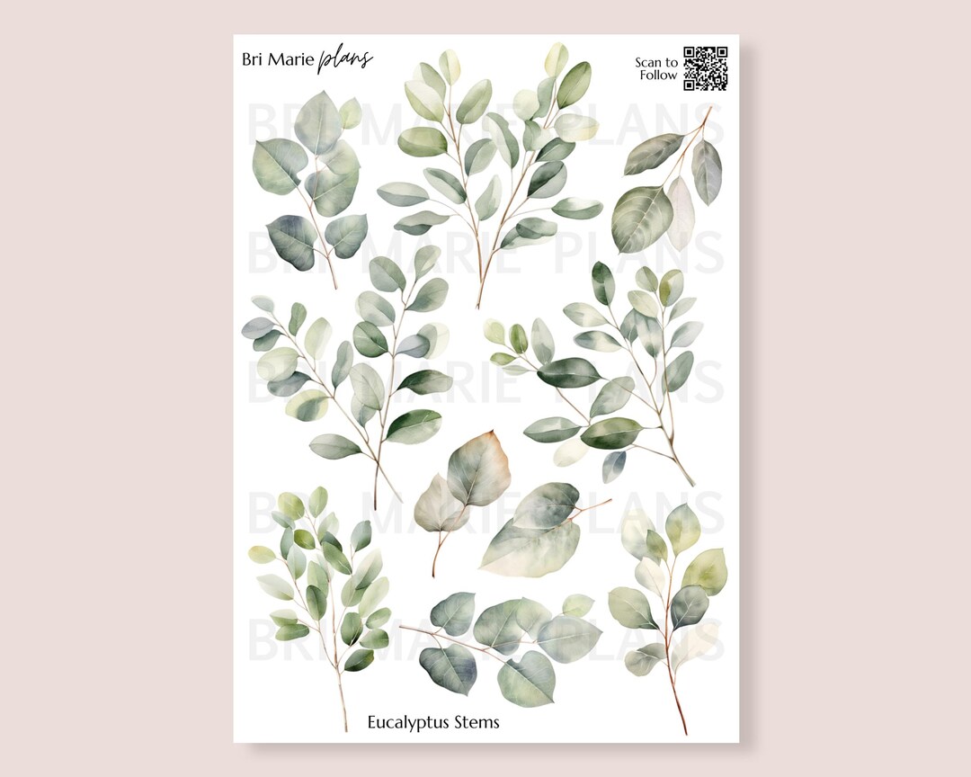 Eucalyptus Stems | Printable Planner and Journal Stickers - Etsy