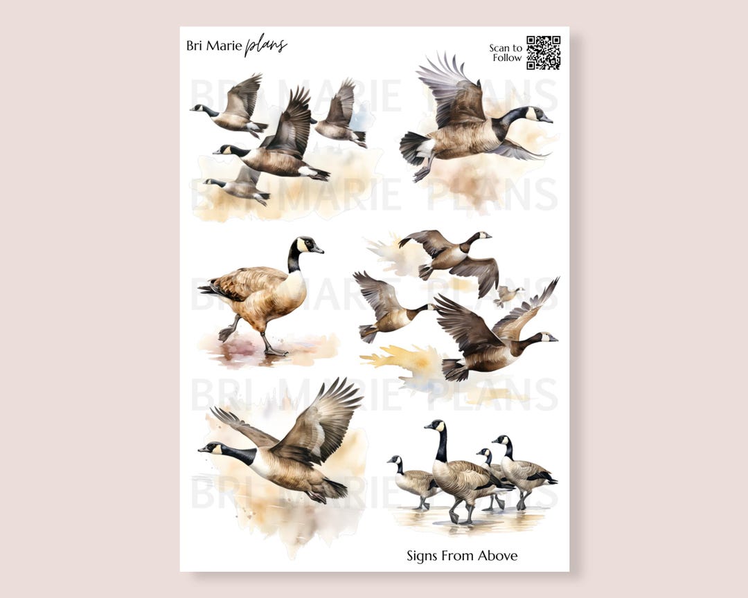 Signs From Above Sticker Sheet | Watercolor Goose Planner Stickers ...