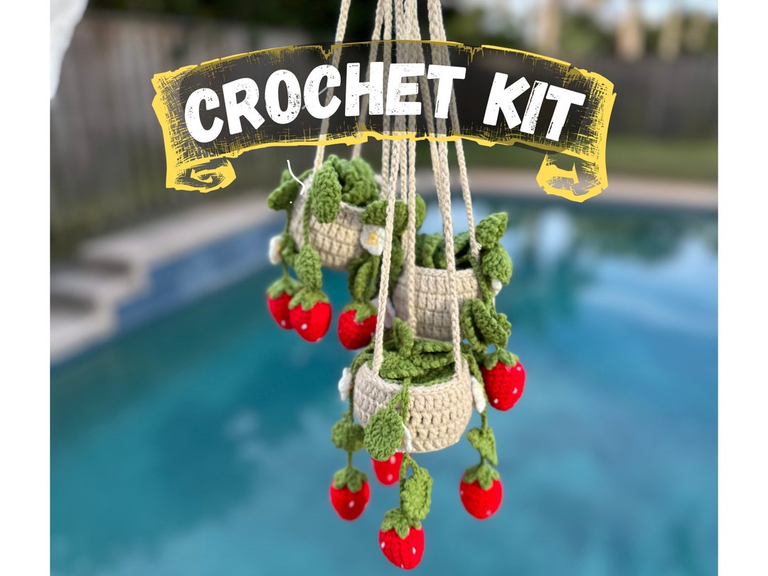 DIY Crochet Kit: Hanging Strawberry Plant Pattern for Housewarming and ...