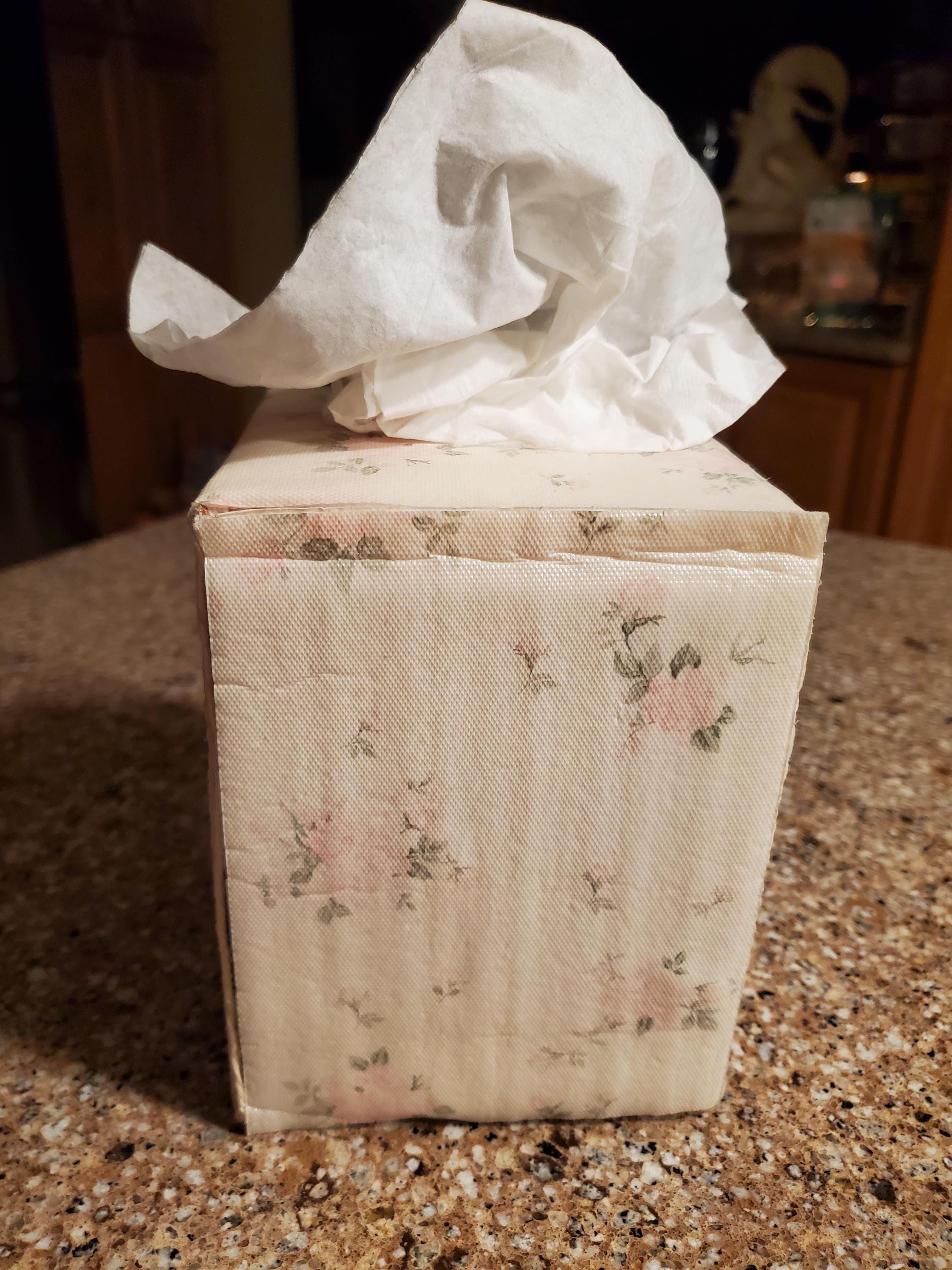 Bakery in a Tissue Box! This Diorama is 1:24 Scale Miniature Dollhouse ...
