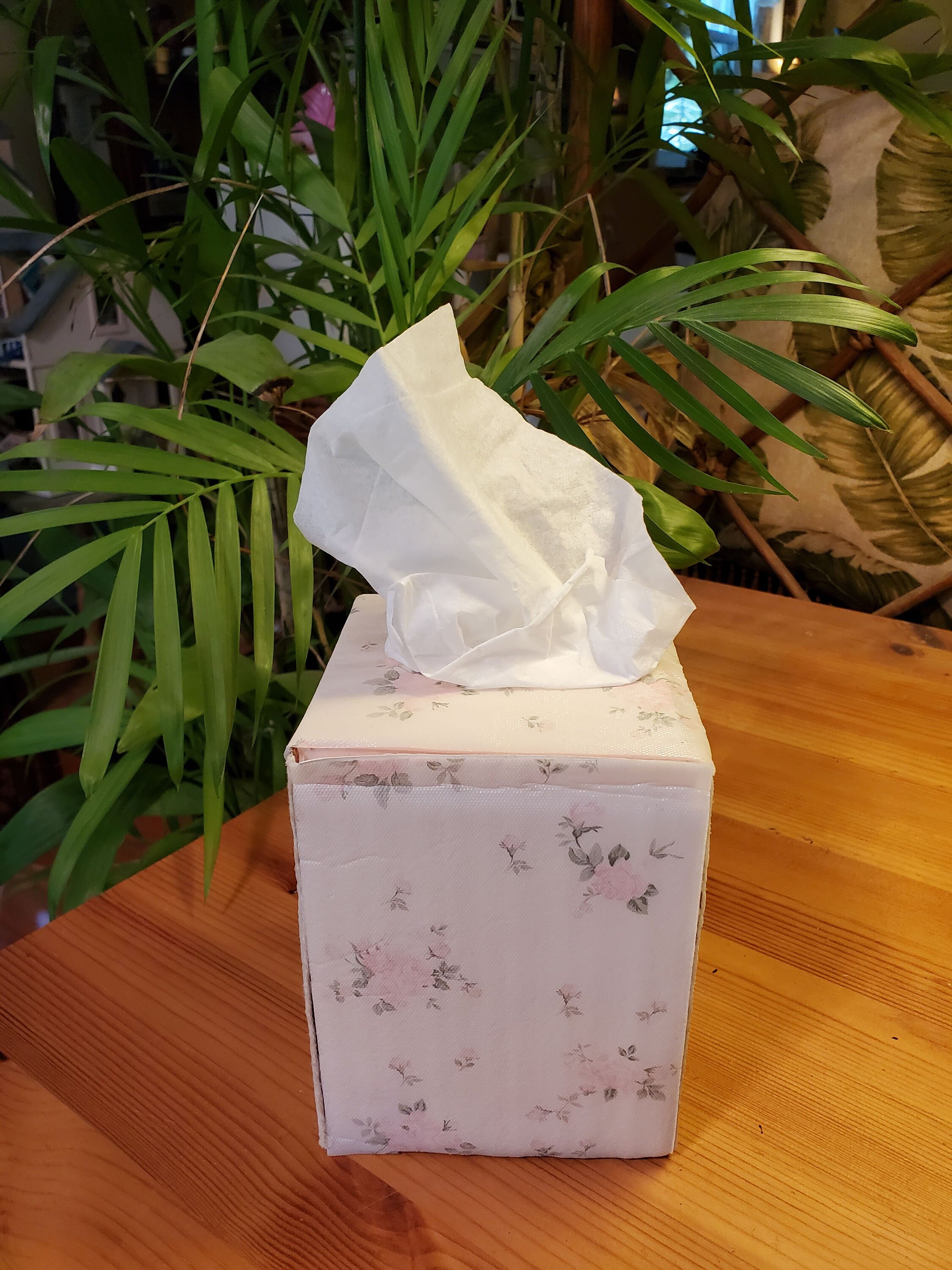 Bakery in a Tissue Box - Etsy