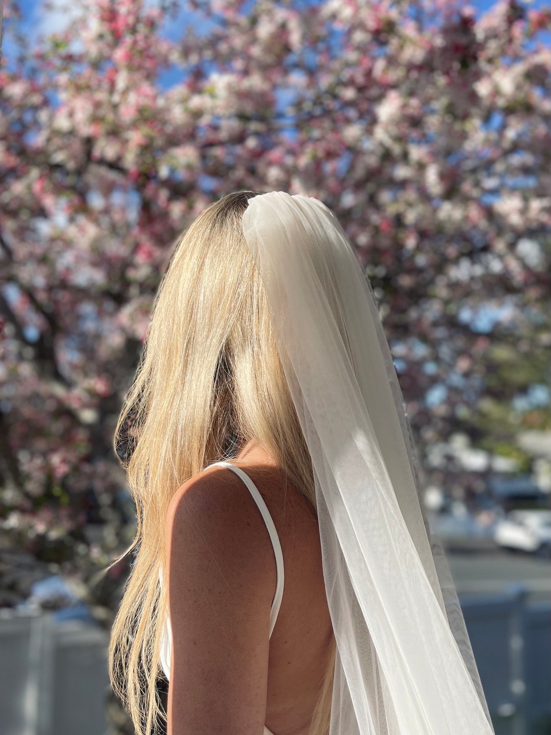 Blush Pink Wedding Veil Colour Veil Modern Bridal Veil Pink Veil ...