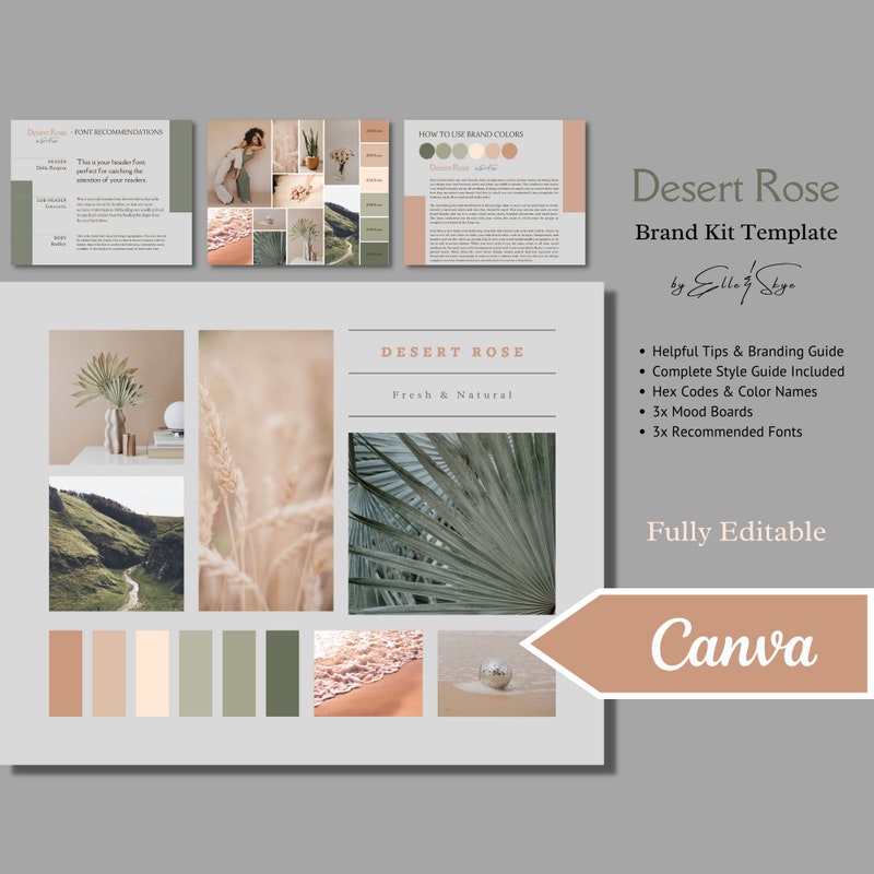 Rose Pink Color Code Canva - Etsy