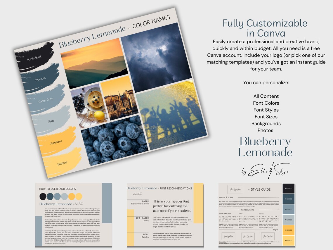 Blueberry Lemonade Brand Palette, Editable Canva Colour Palette With ...