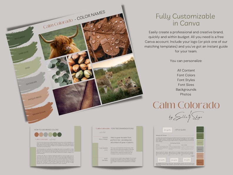 Calm Colorado Brand Palette, Editable Canva Colour Palette With Hex ...