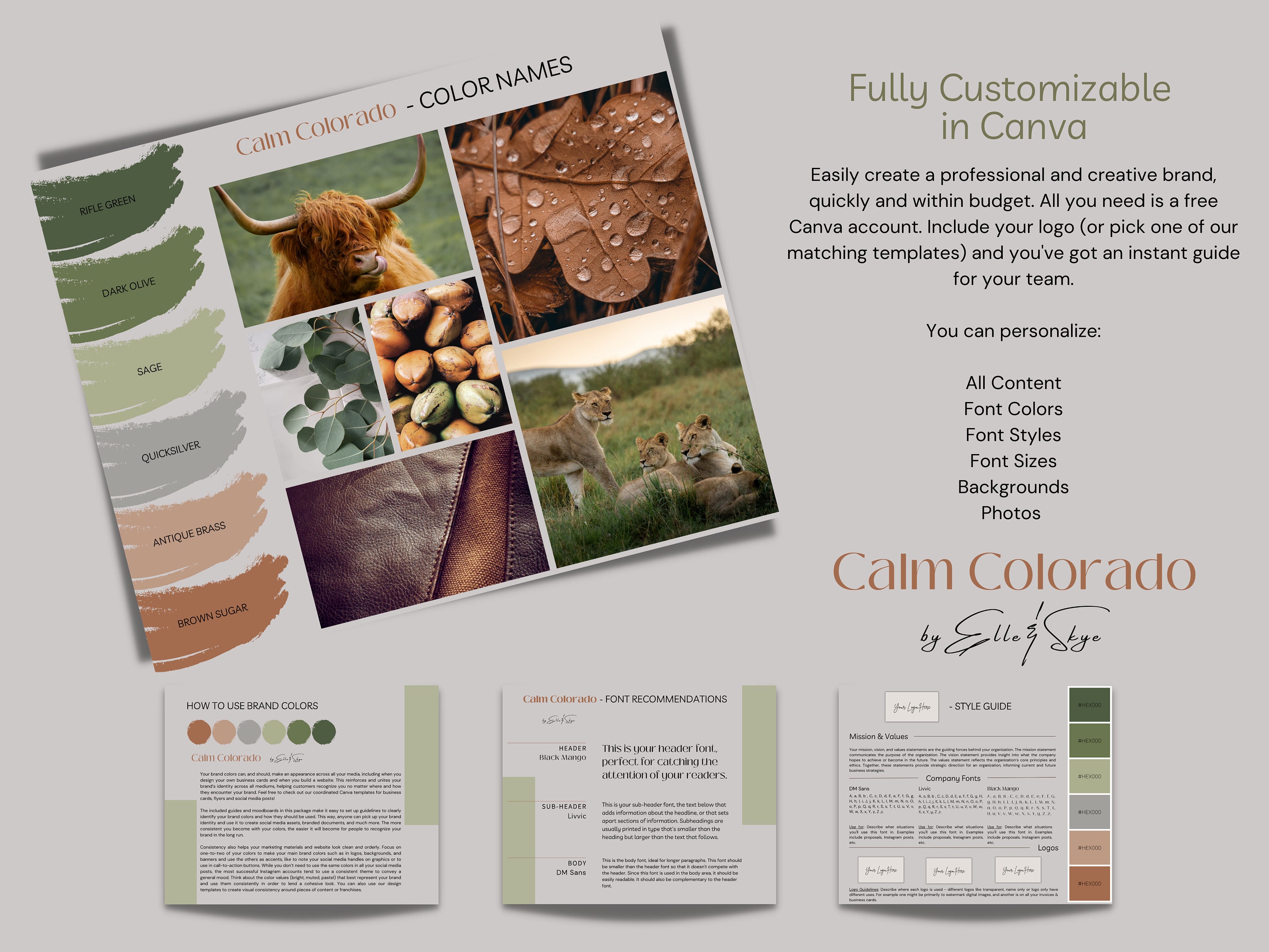 Calm Colorado Brand Palette, Editable Canva Colour Palette With Hex ...