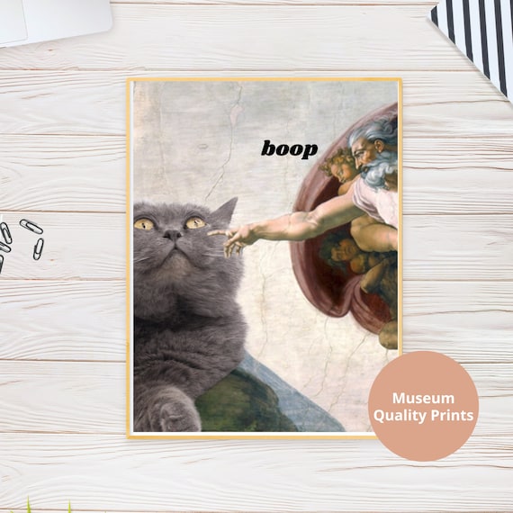 Oh Mio Dio Meme Gatto Idioms – Nuts