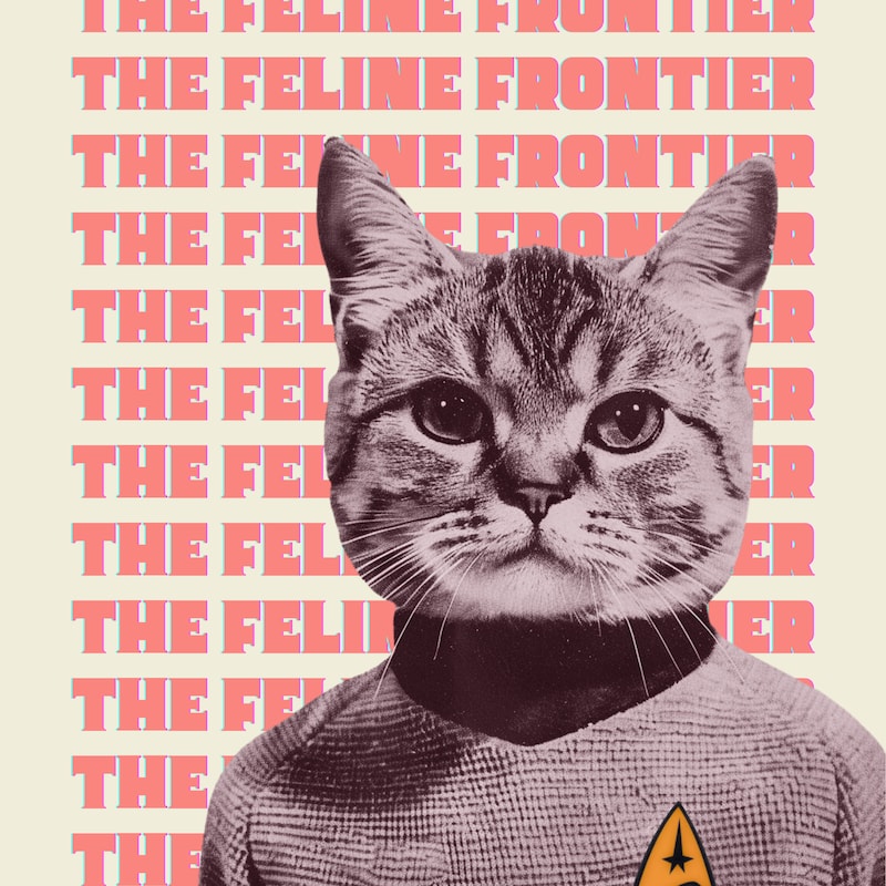 Star Trek Cat - Etsy
