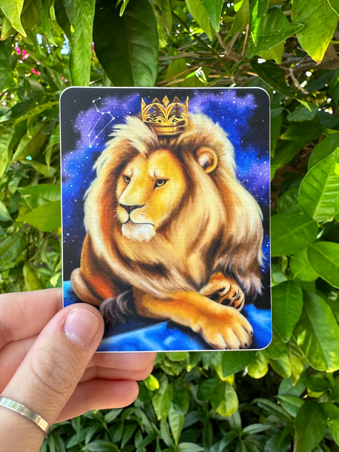 Leo Sticker - Etsy
