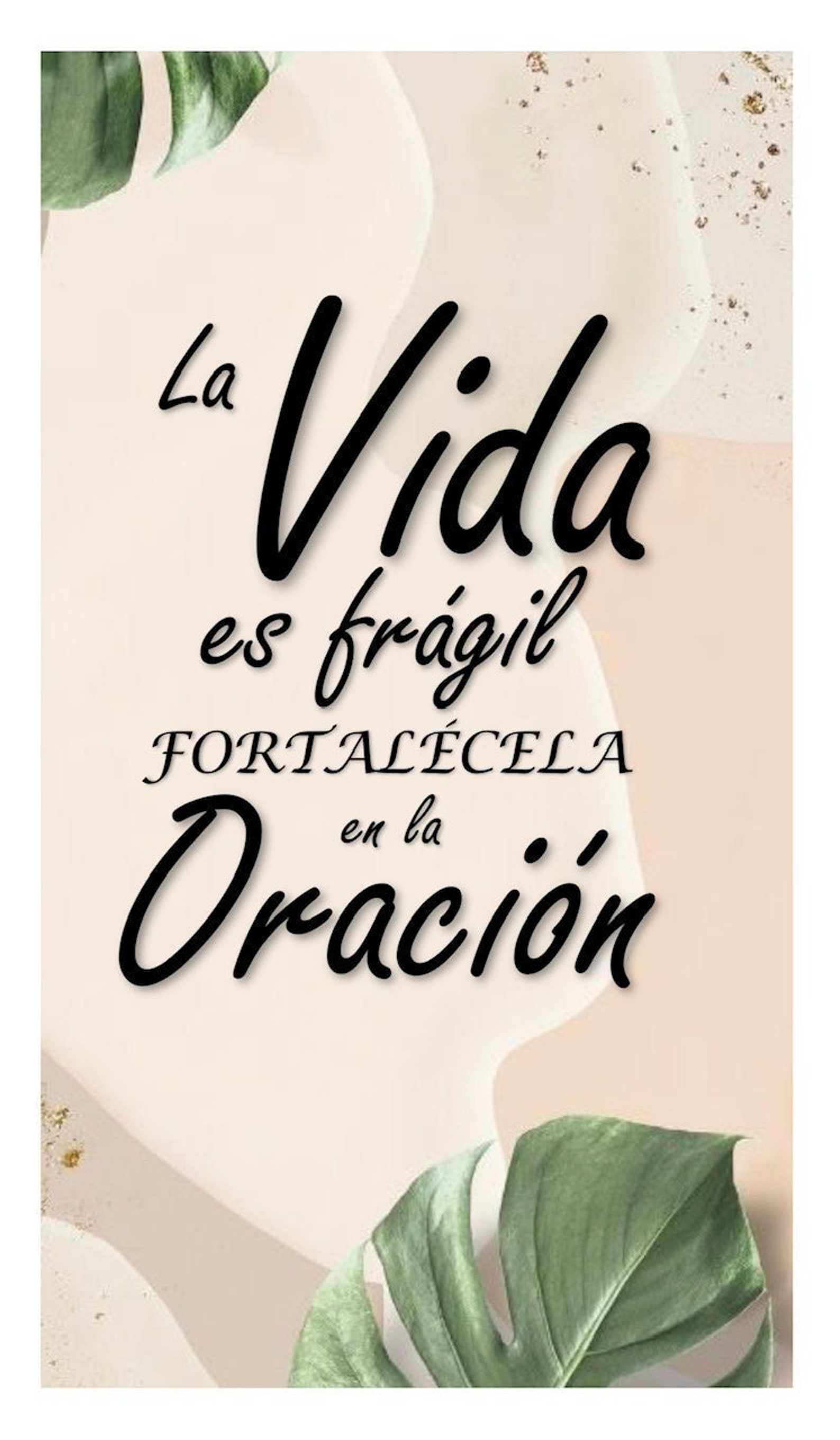 La Vida Es Fragil Sticker - Etsy