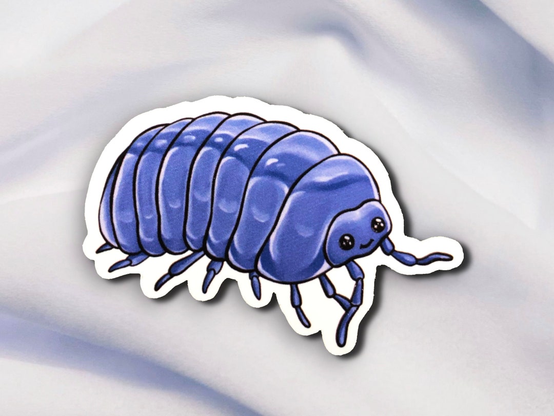 Jello Rolly Polly Isopod Sticker - Etsy