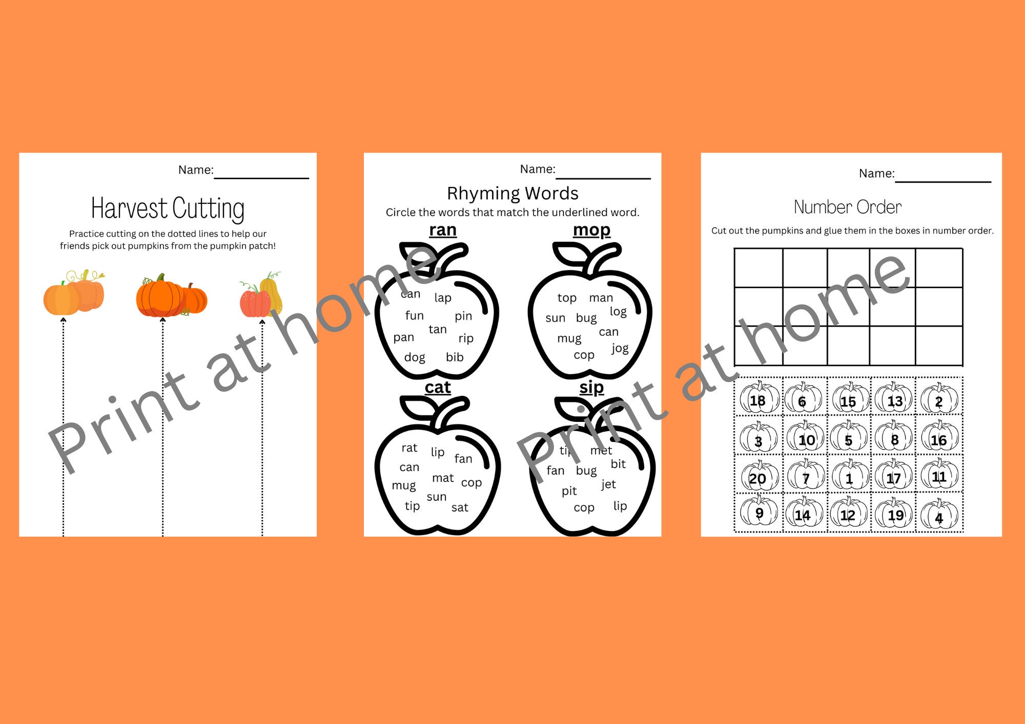 8 Fun Harvest Themed Worksheets Digital Instant Download - Etsy
