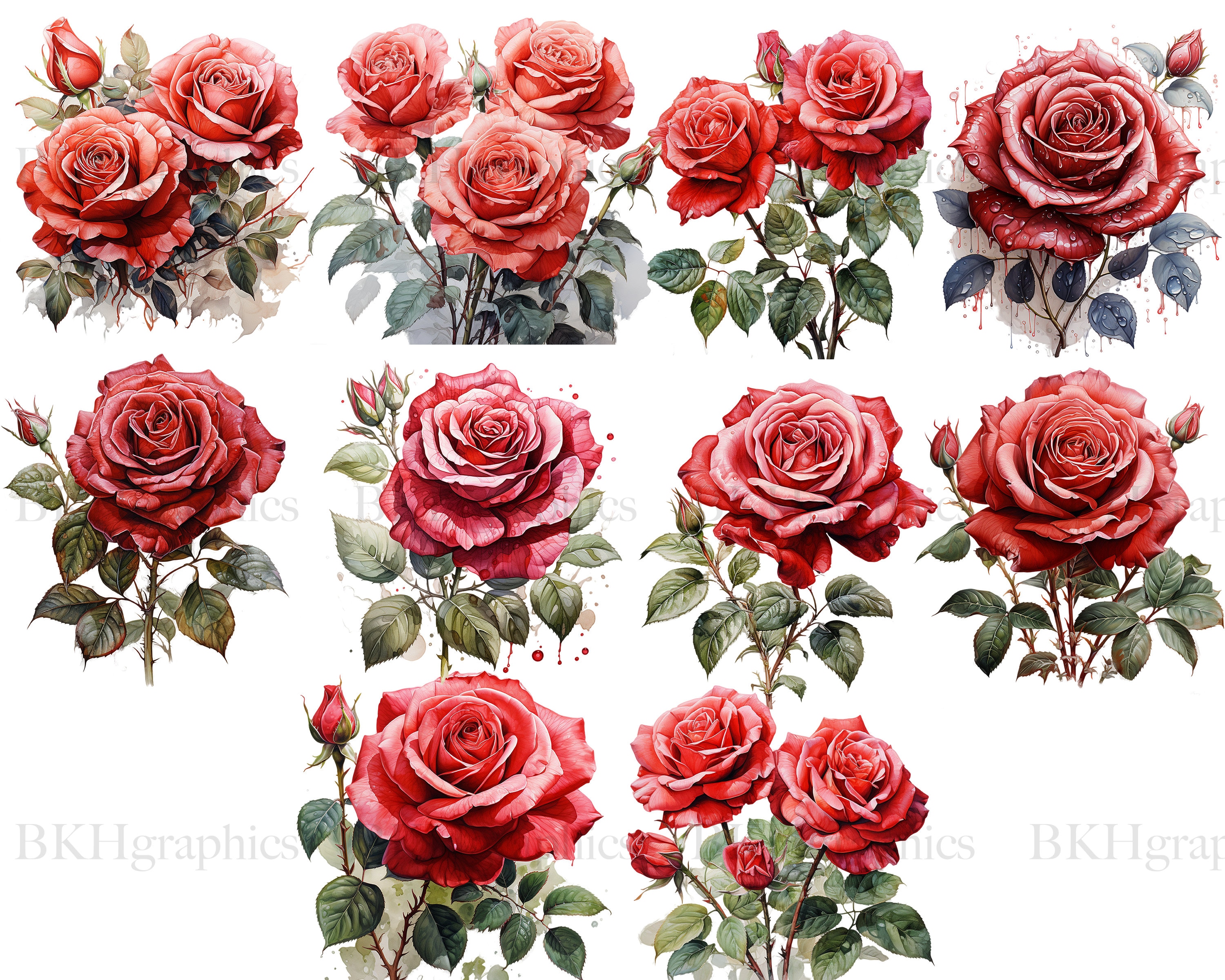 10 Watercolor Red Rose Designs, PNG Instant Download, 300 DPI ...