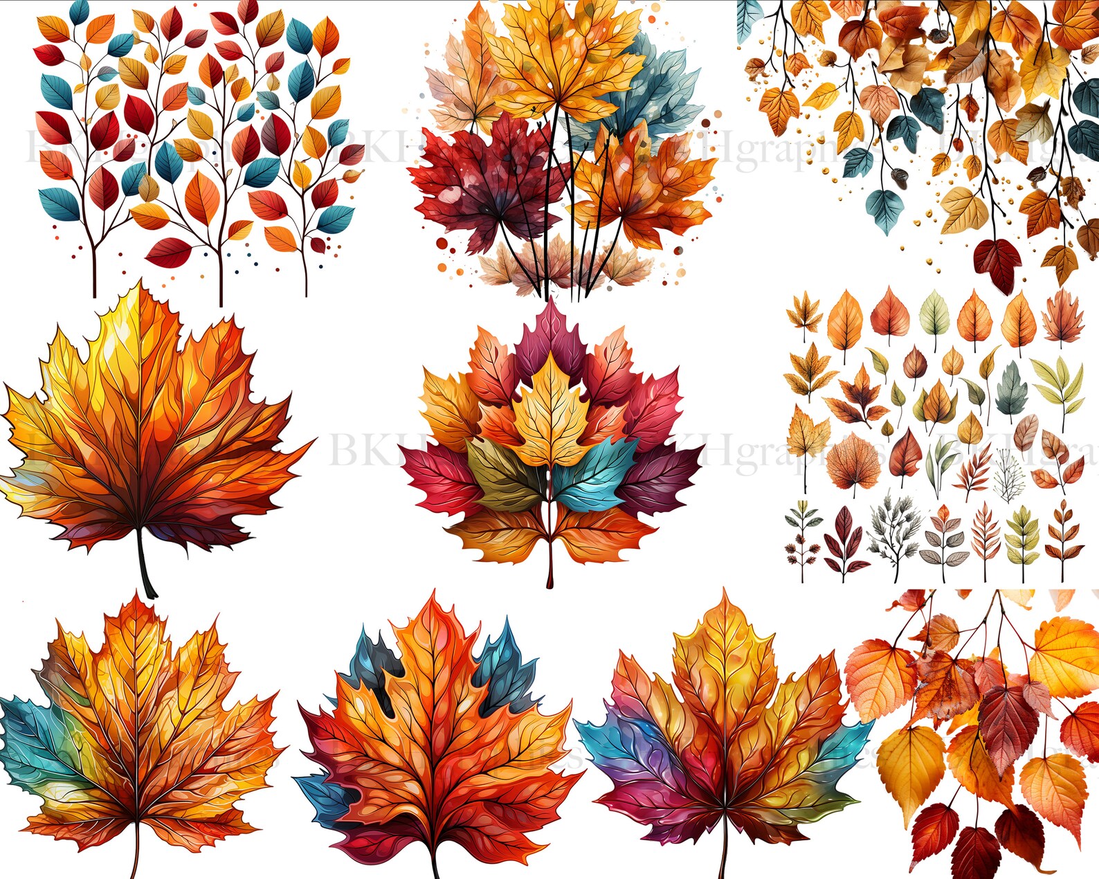 10 Autumn Leaves Clipart Images, Fall Clipart, Autumn Decor, PNG ...