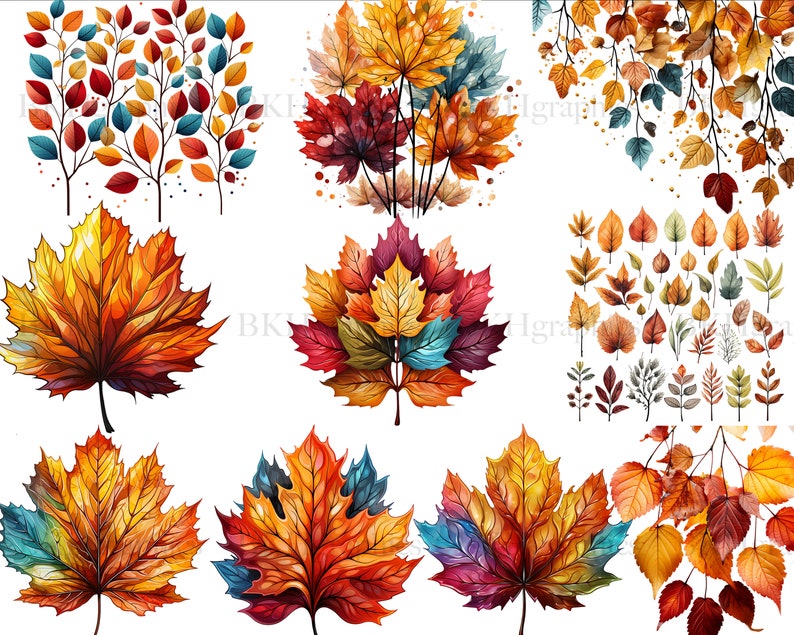 10 Autumn Leaves Clipart Images, Fall Clipart, Autumn Decor, PNG ...