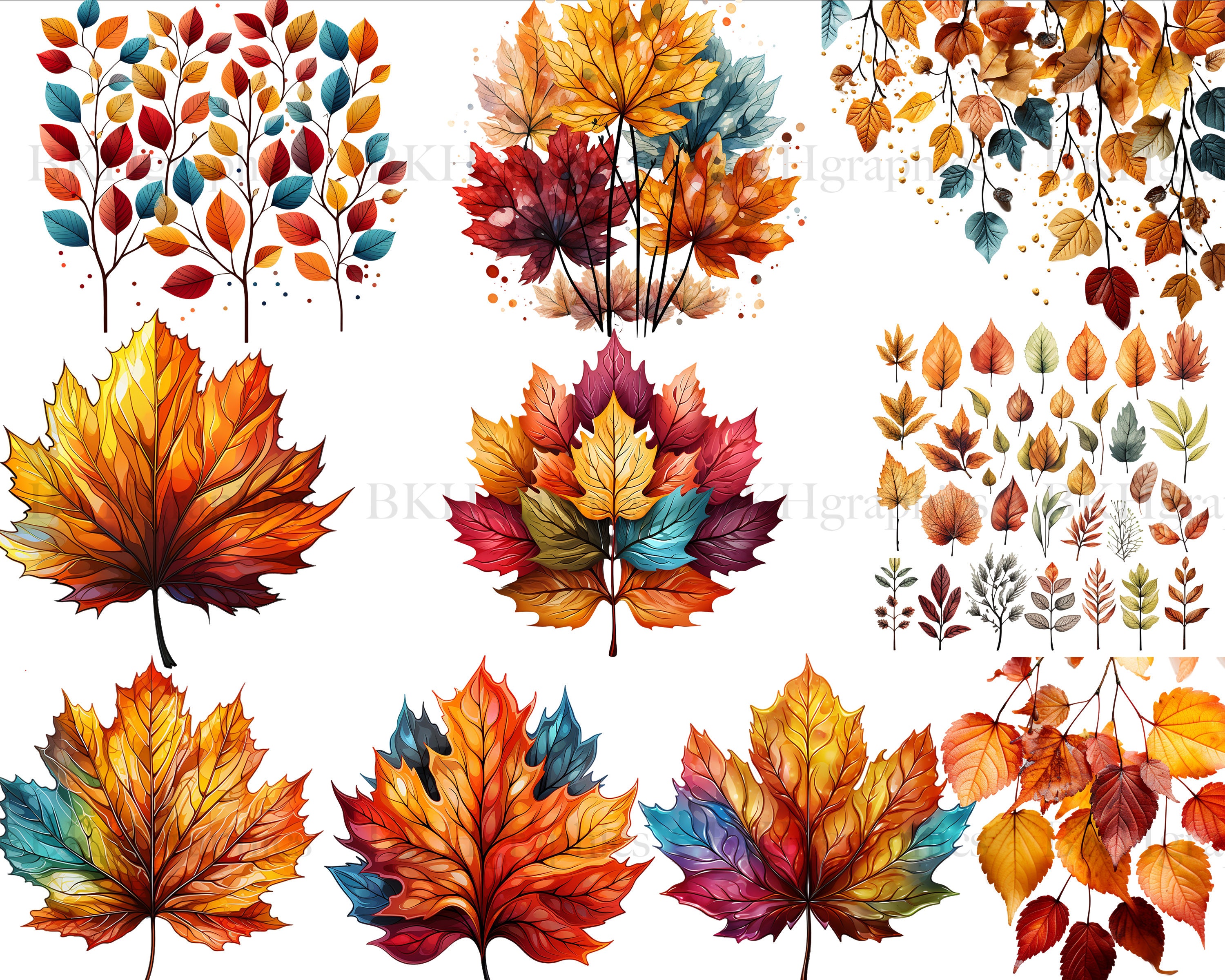 10 Autumn Leaves Clipart Images, Fall Clipart, Autumn Decor, PNG ...