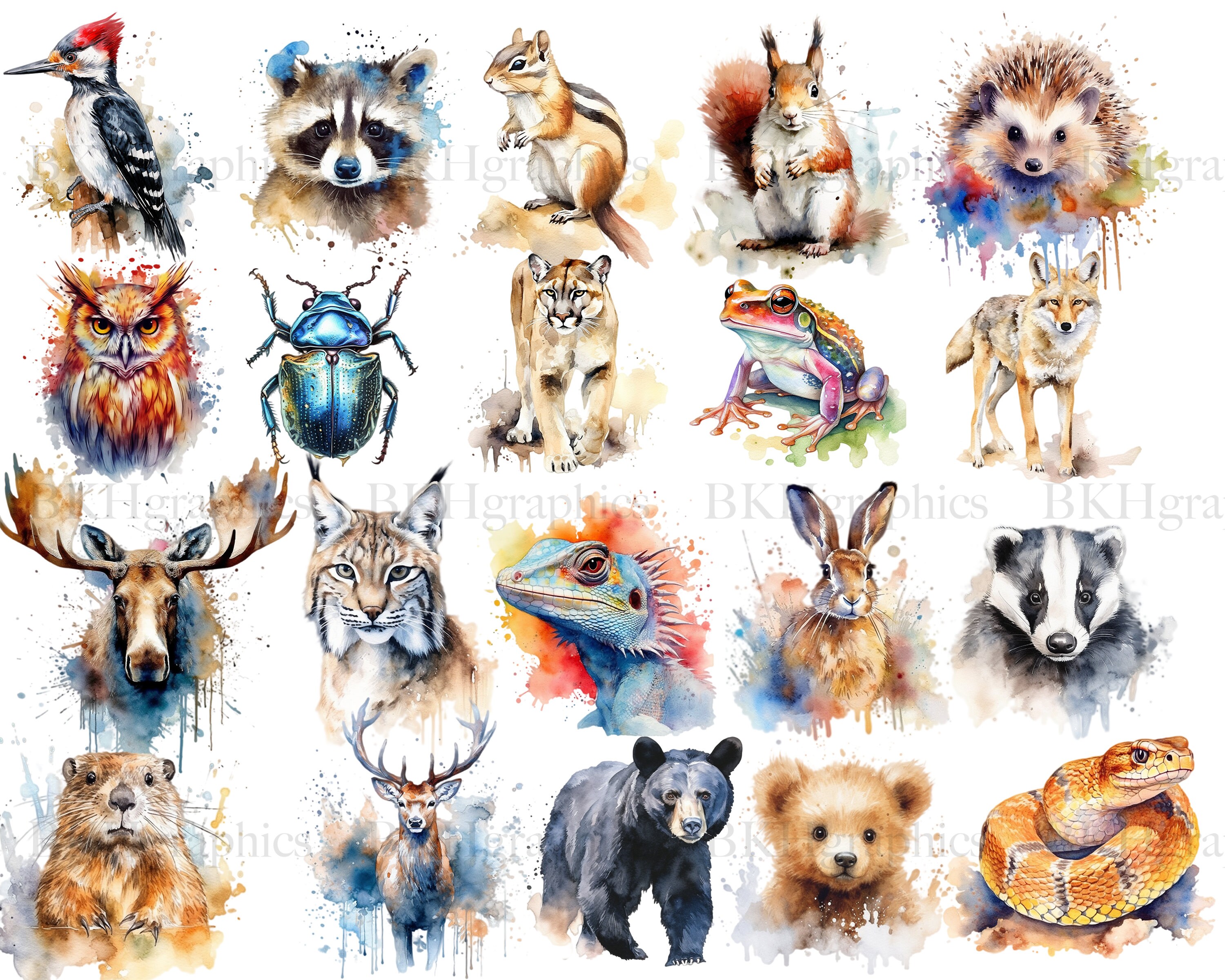 20 Watercolor Woodland Creatures Clipart, Forest Animals Clipart, PNG ...