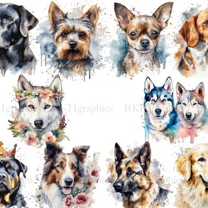 10 High-quality Watercolor Dog Clipart Images, Pet Illustrations, PNG ...