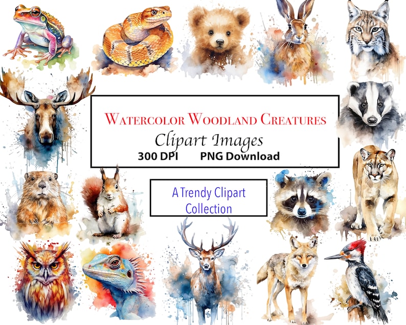 20 Watercolor Woodland Creatures Clipart, Forest Animals Clipart, PNG ...