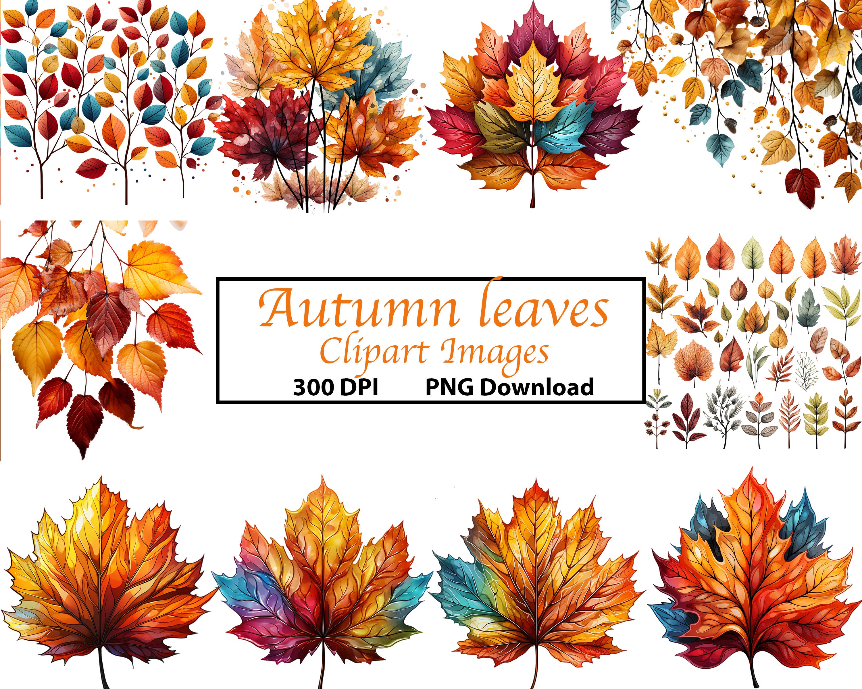 10 Autumn Leaves Clipart Images, Fall Clipart, Autumn Decor, PNG ...