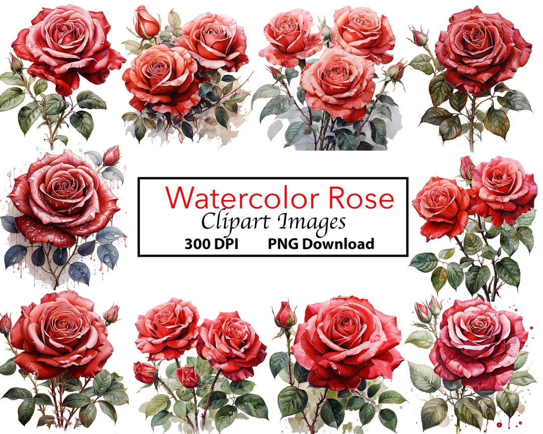 10 Watercolor Red Rose Designs, PNG Instant Download, 300 DPI ...