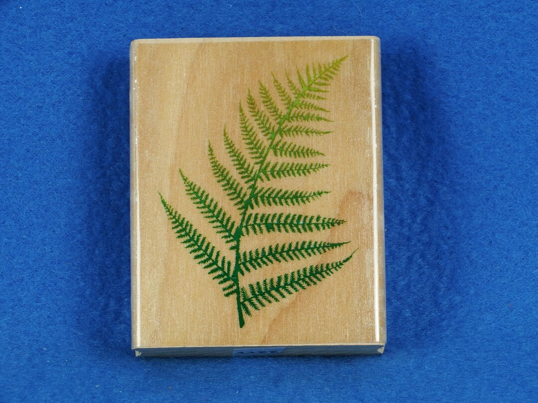 Rubber Stampede Pretty Fern Rubber Stamp, Party Invitations, Envelopes ...