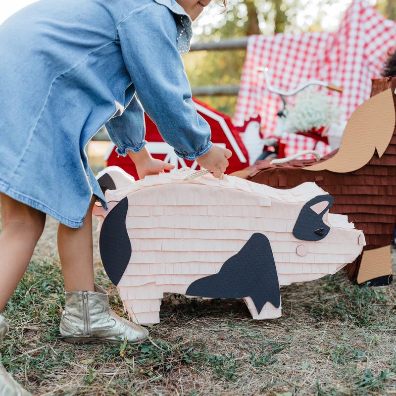 Pig Pinata - Etsy