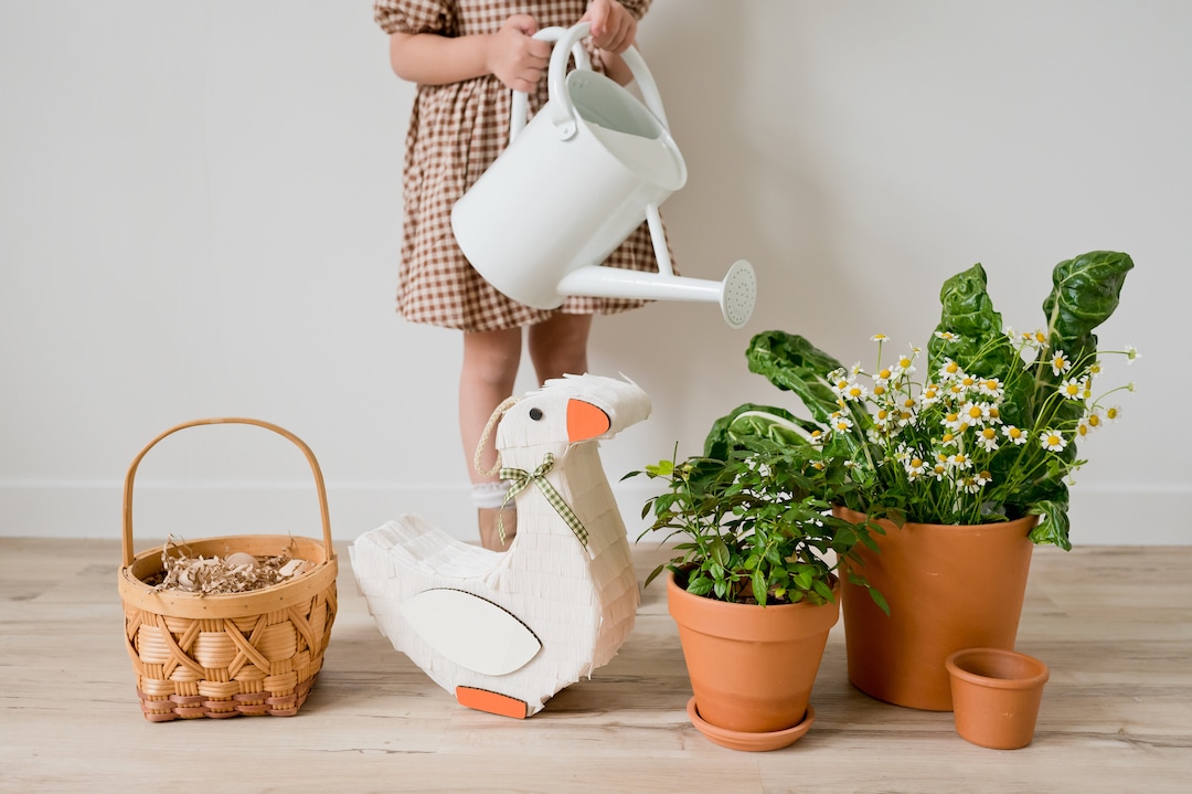 Goose Piñata - Add Elegance to Your Festivities! - Etsy