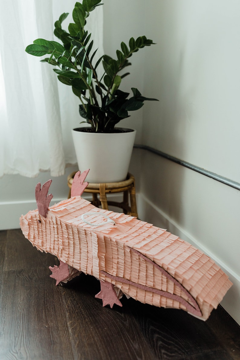 Enchanted Axolotl Piñata Dive Into a World of Magical Celebration - Etsy