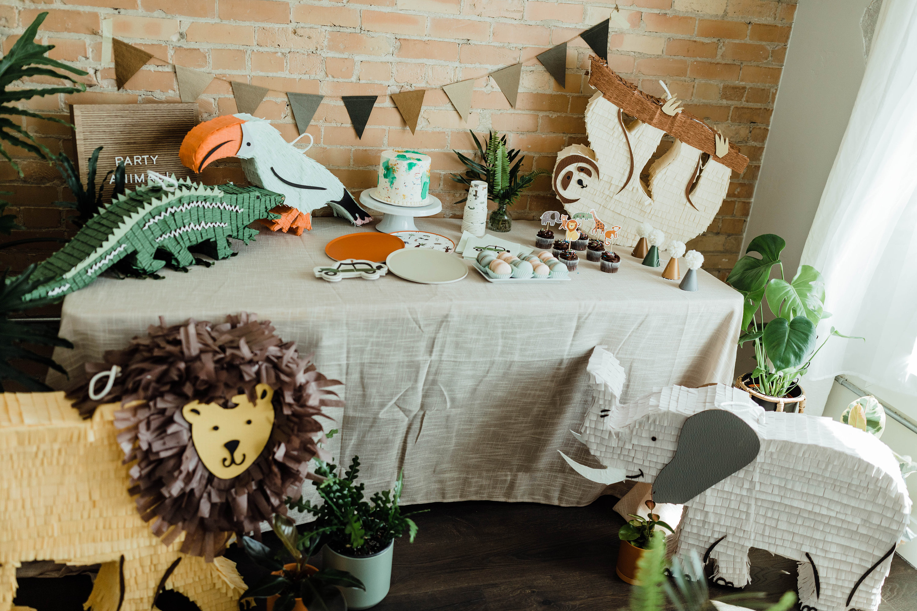 Tropical Toucan Piñata Soar Into Party Fun With a Splash of Color - Etsy