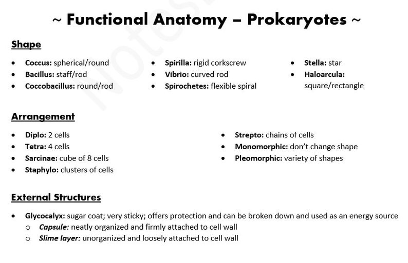 General Biology and Microbiology Notes and Study Material for Pre ...