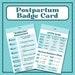 Pediatric Badge Card for Nurses and Students multiple Color Options ...