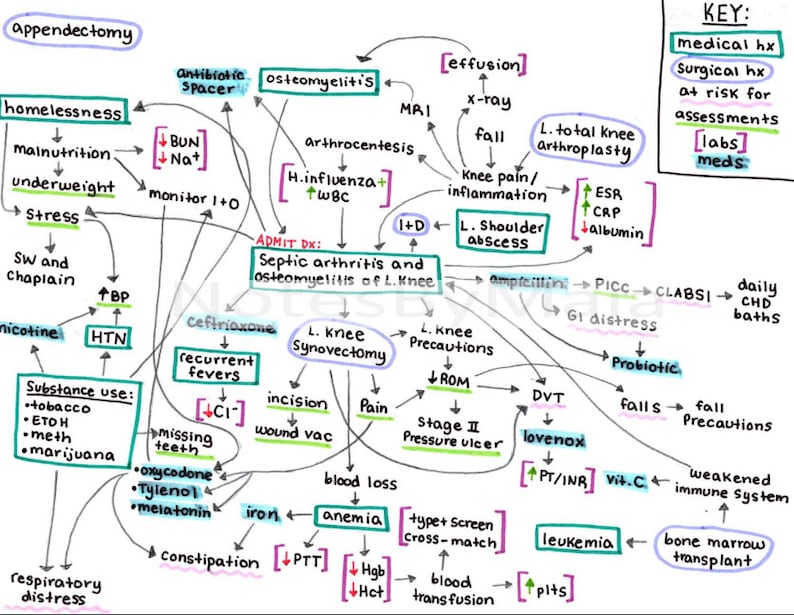 Medsurg Nursing Theory Lecture Notes for Nursing Students - Complete ...