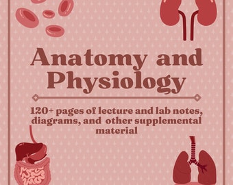 Anatomy and Physiology Notes Anatomy Study Guide Nursing - Etsy