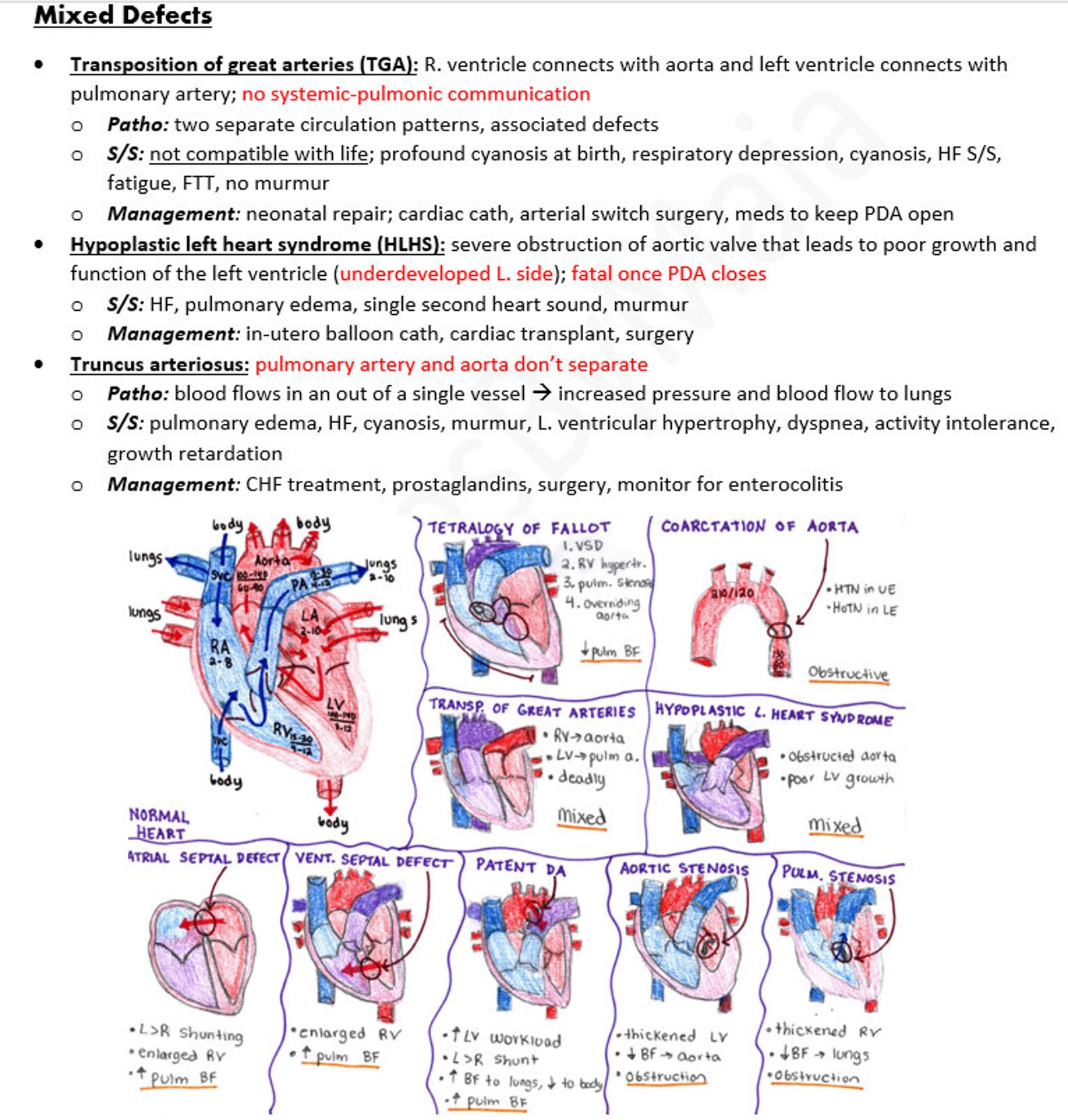 Pediatric Nursing Theory (child and Family Health) Lecture Notes for ...