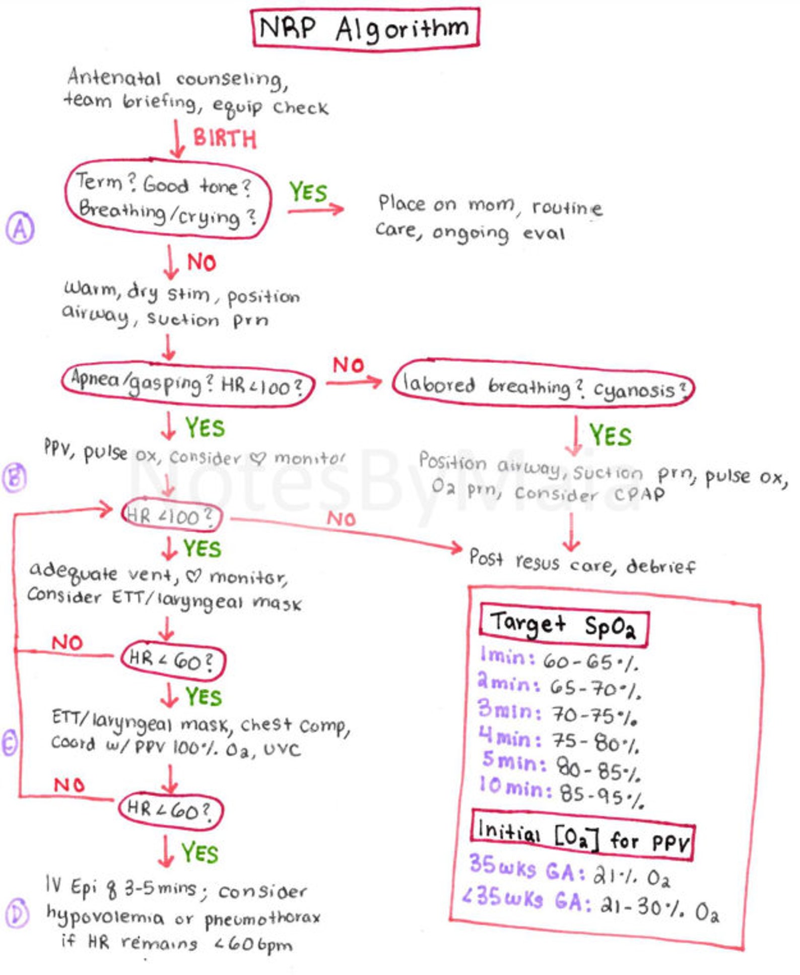 Neonatal Resuscitation Program (NRP) 8th Edition Training Guide Based ...