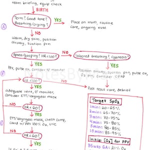 Neonatal Resuscitation Program (NRP) 8th Edition Training Guide Based ...