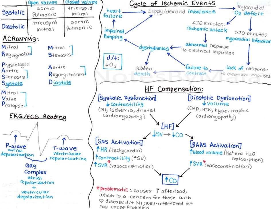 Pathophysiology Class Notes for Nursing Students From an RN Complete ...