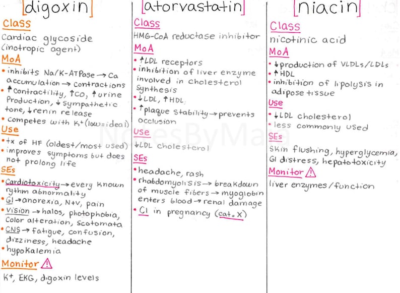 Pharmacology Class Notes for Nursing Students From an RN - Complete ...