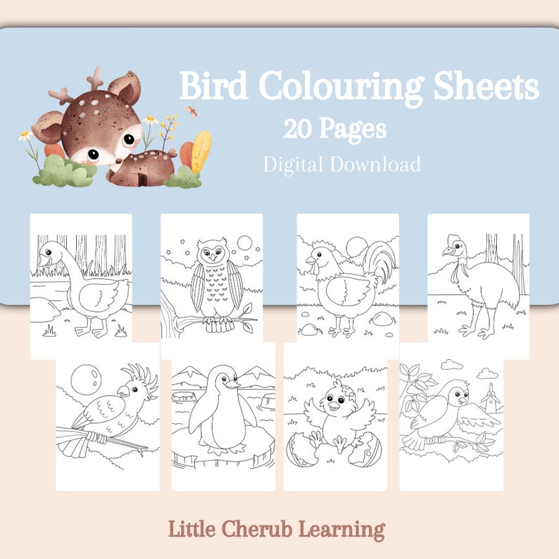 Kindergarten Printables, Preschool Printables, Colors, Bird Theme ...