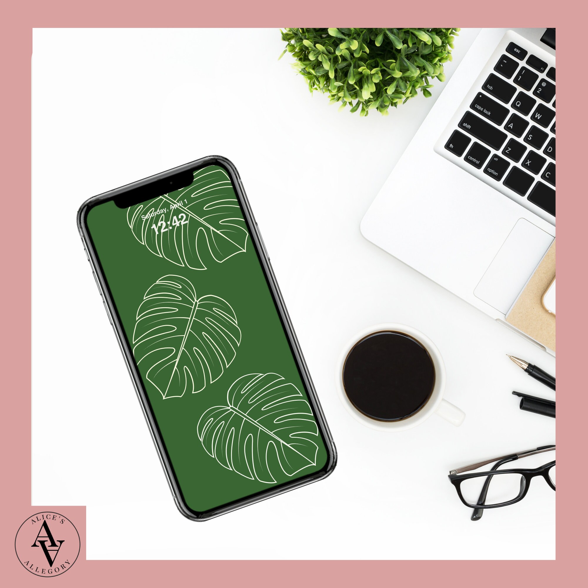 Two Tone Monstera Plant Phone Wallpaper Background | Houseplant ...