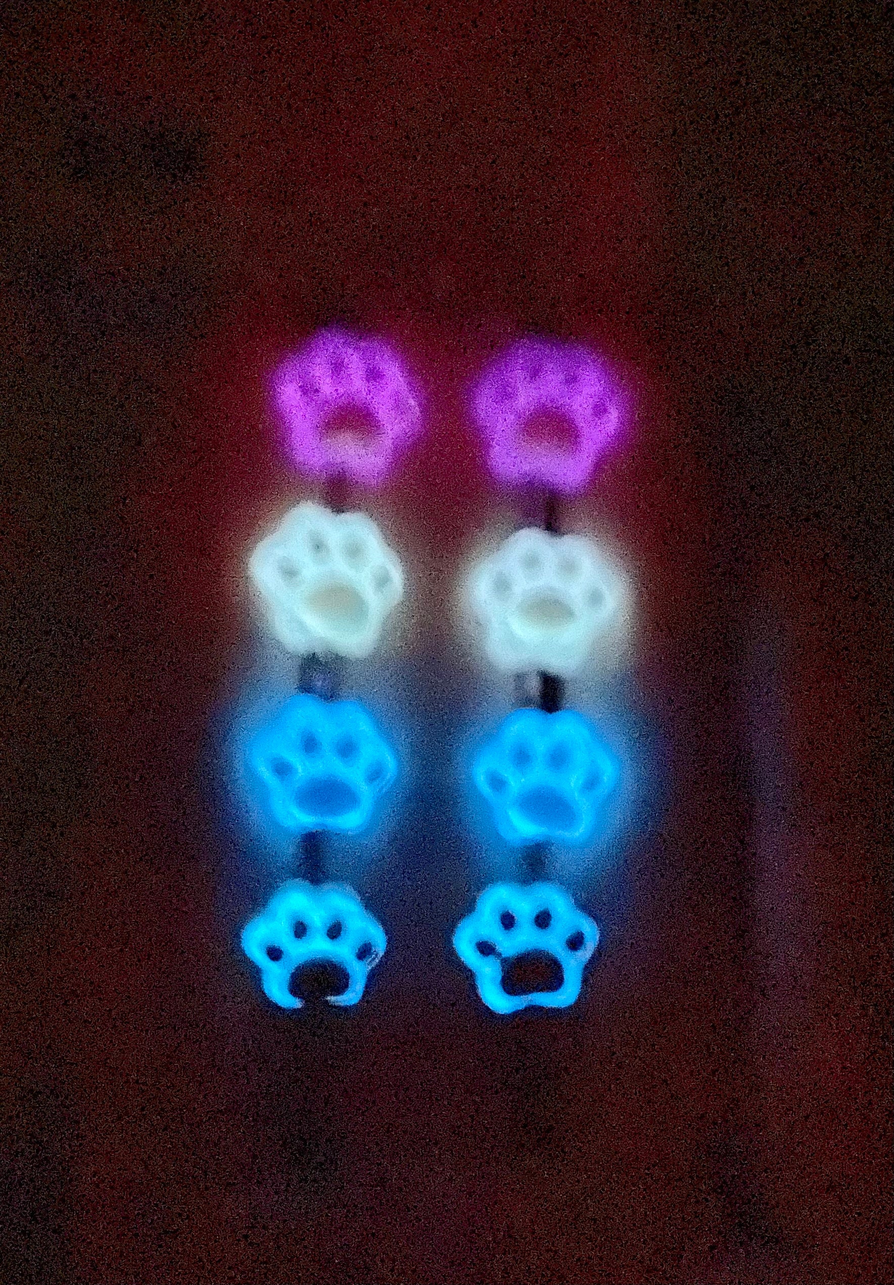 Invisible PAW PRINT Puppy Dog Cat Pet Blue Pink White Brown GLOW in the ...