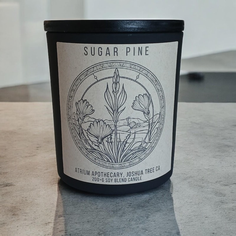 Pine and Juniper Candles - Etsy